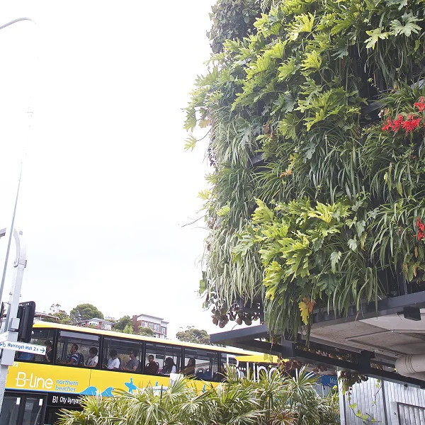 Planitree | Manly Vale Car Park